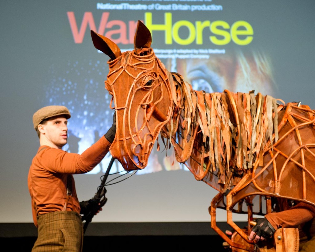 War Horse Finds A Play Mate with Finn Caldwell | AussieTheatre