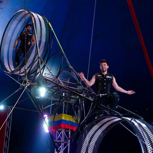 CIRCUS ROYALE coming back to Melbourne | News