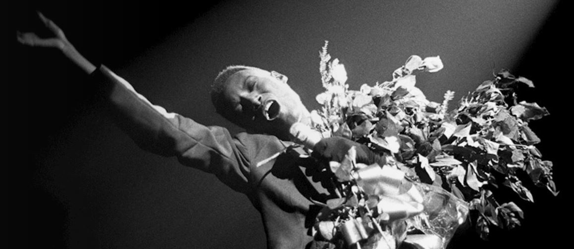 DIVA Exhibition Debuts at New Museum of Performing Arts